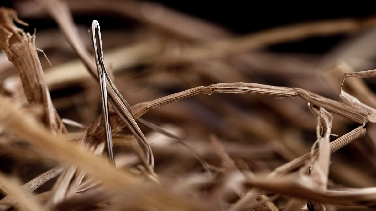 Shell Scripting Tips Steve 4351